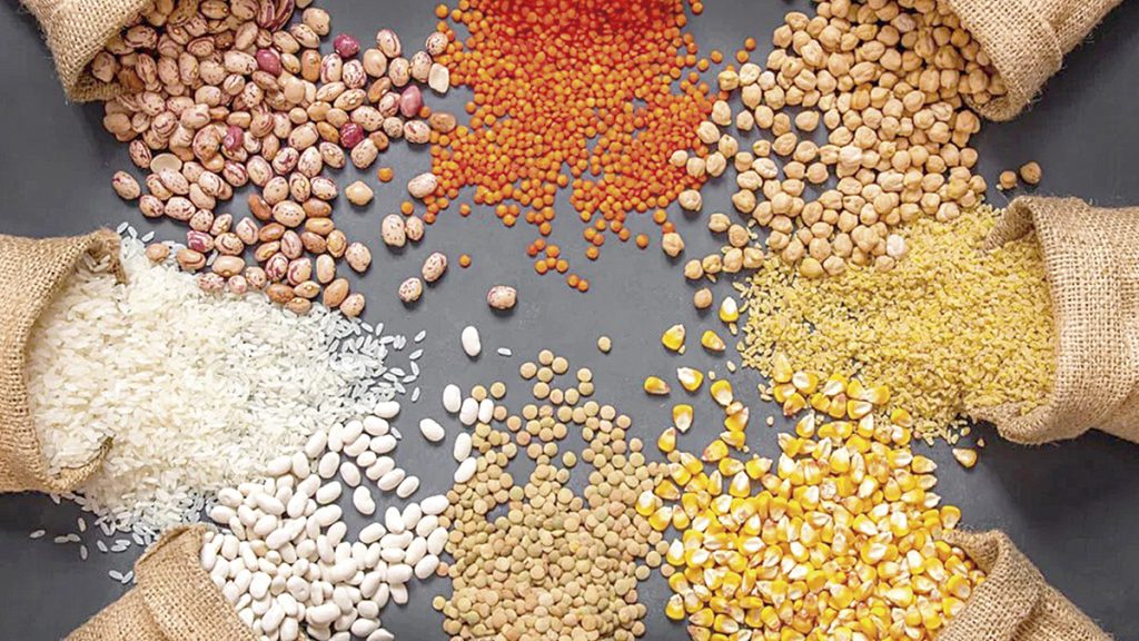 México pasó de ser productor a importador de granos básicos – Semanario ...